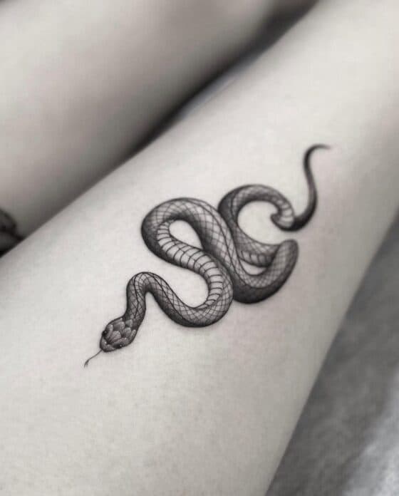 23 Incredible Snake Tattoos To Get Wrapped Up In • Body Artifact