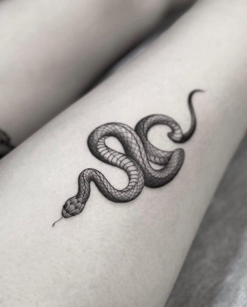 23 Incredible Snake Tattoos To Get Wrapped Up In • Body Artifact