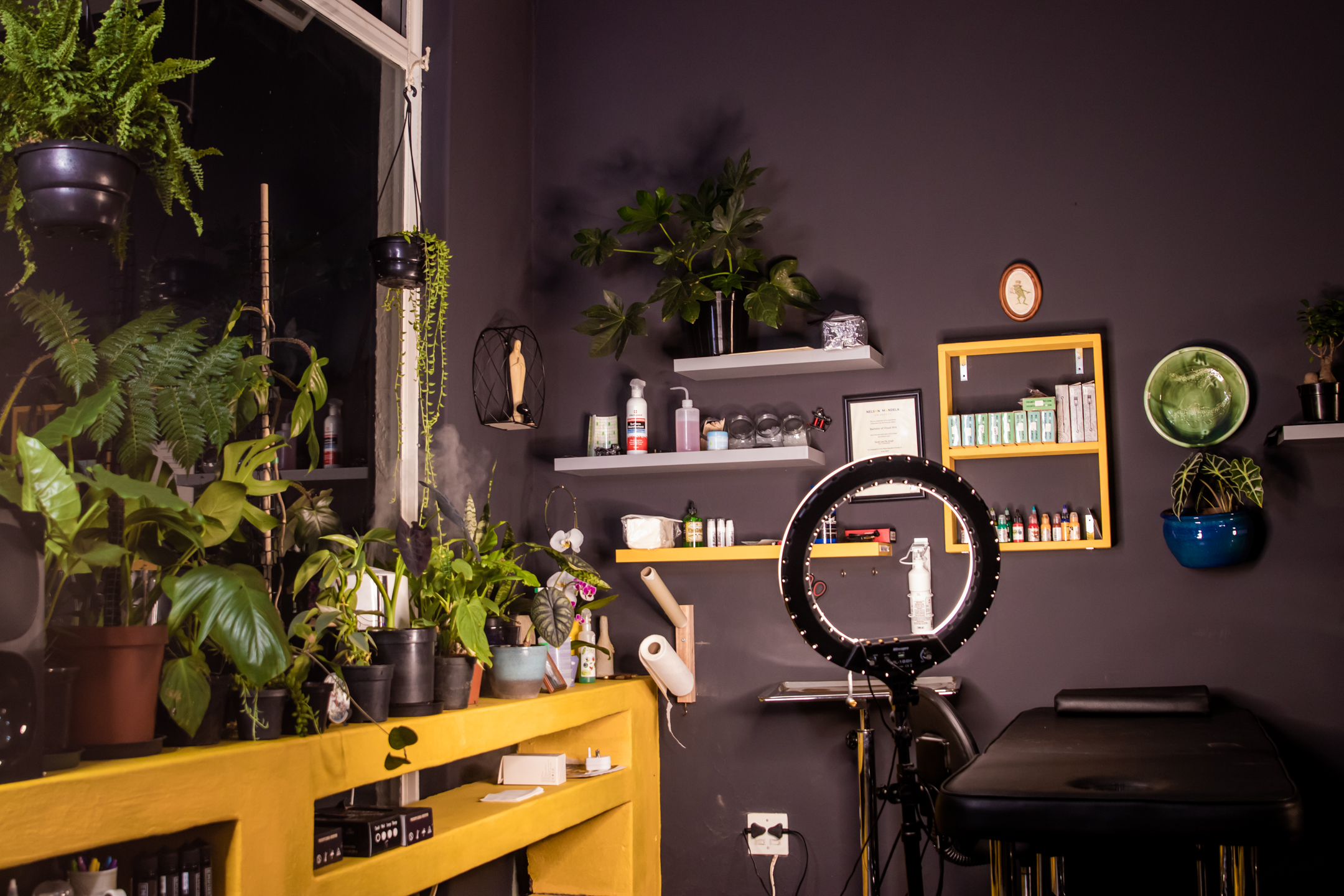 Setting Up Your Own Tattoo Studio: The Do's, Dont’s, And Everything In ...