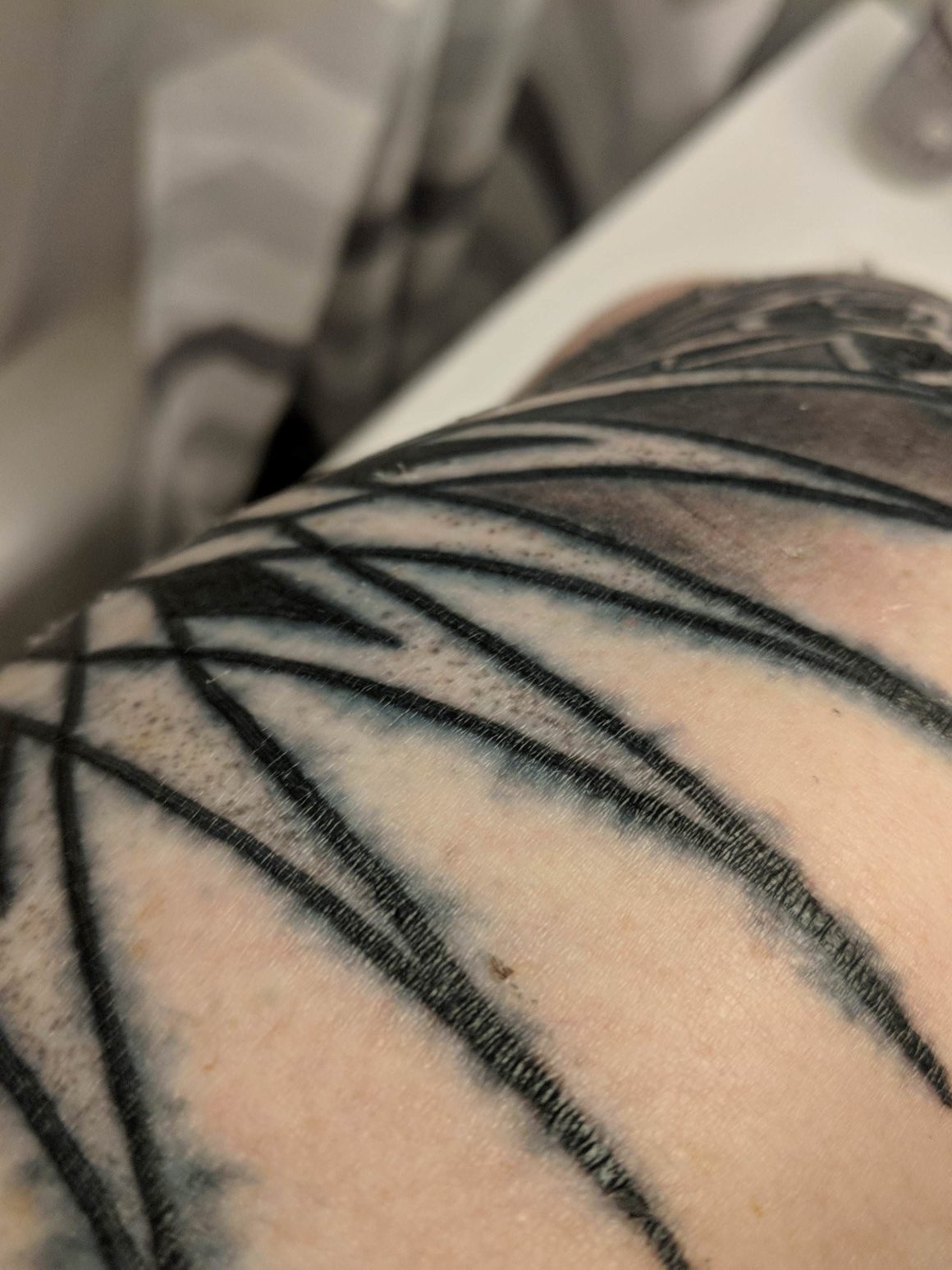 How To Tattoo Fake Skin: A Step By Step Guide • Body Artifact