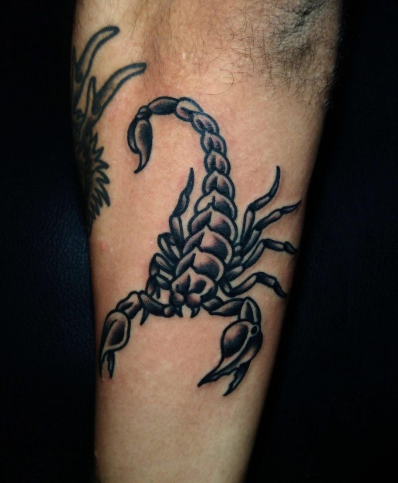 Scorpion Tattoos: The Meaning Behind This Popular Design • Body Artifact